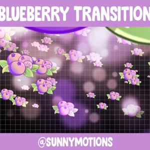 Blueberries Fruit Animated Twitch Scene Transition - Kawaii Blueberry ...