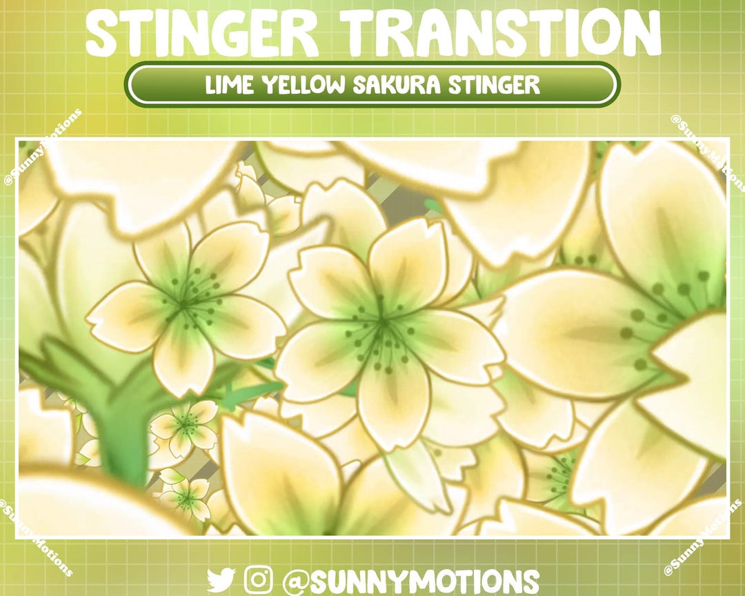 Animated Stream Stinger Transition: Green Lime Yellow Sakura Petal ...
