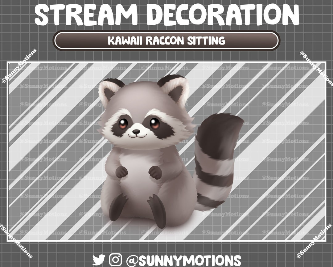 Animated Stream Decoration: Aesthetic Cute Common Raccoon Sitting ...