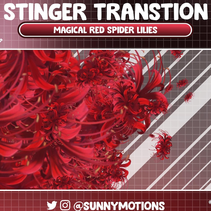 Spider Lily Room Decor - Etsy