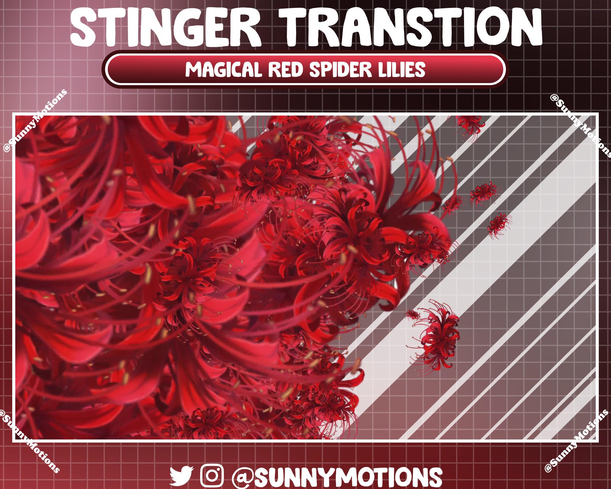 Animated Stream Stinger Transition: Field Dark Red Spider Lily Sky ...