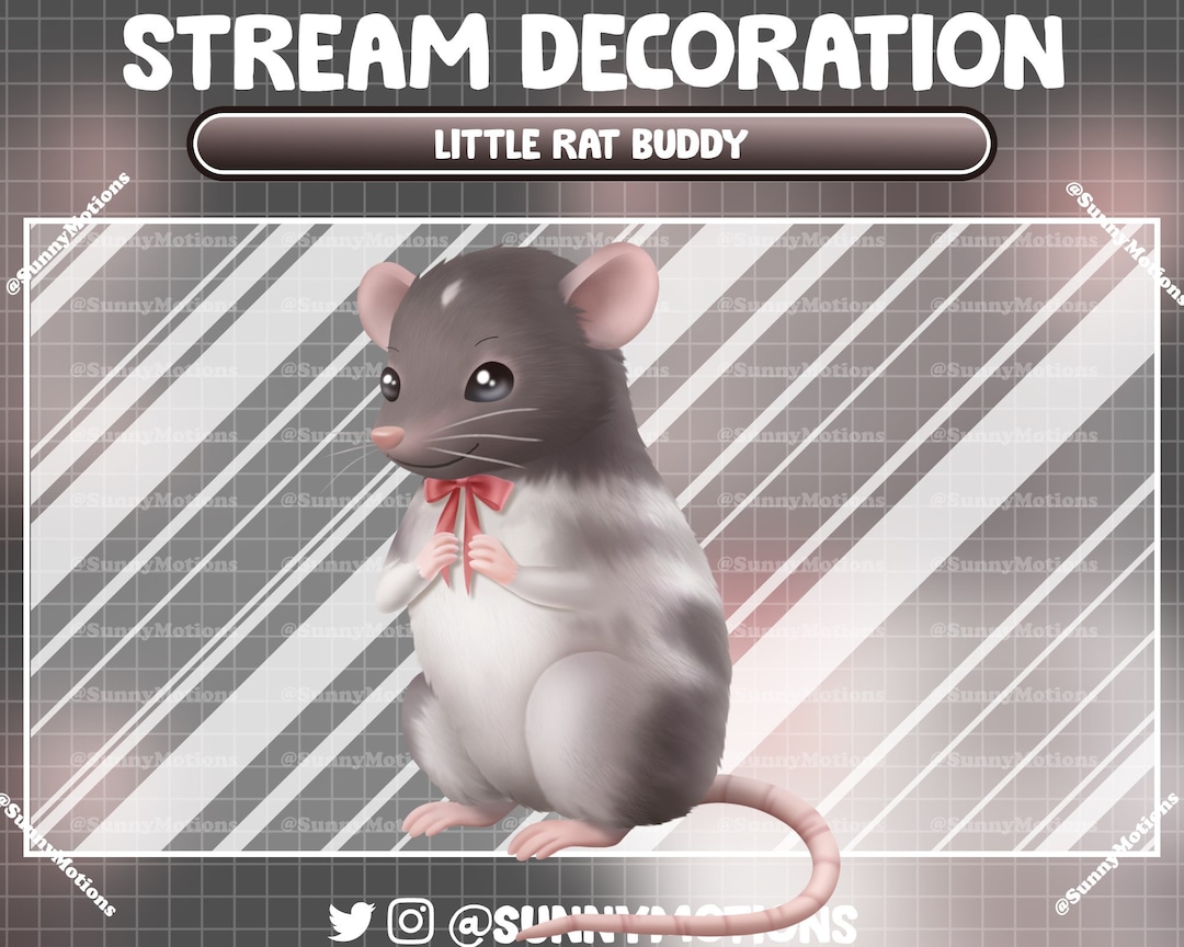 Animated Stream Decoration Animal: Lo-fi Aesthetic Little Rat Buddy ...