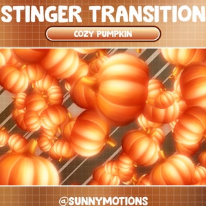 Halloween Pumpkin Stream Scene Stinger Transition / Cozy Hallows Eve ...