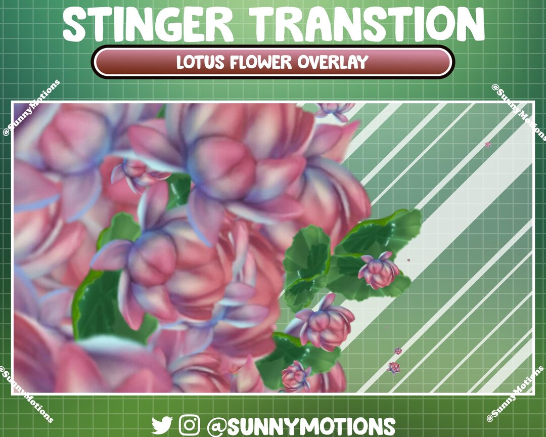 Animated Stream Stinger Transition: Mystique Lotus Flower Floating ...