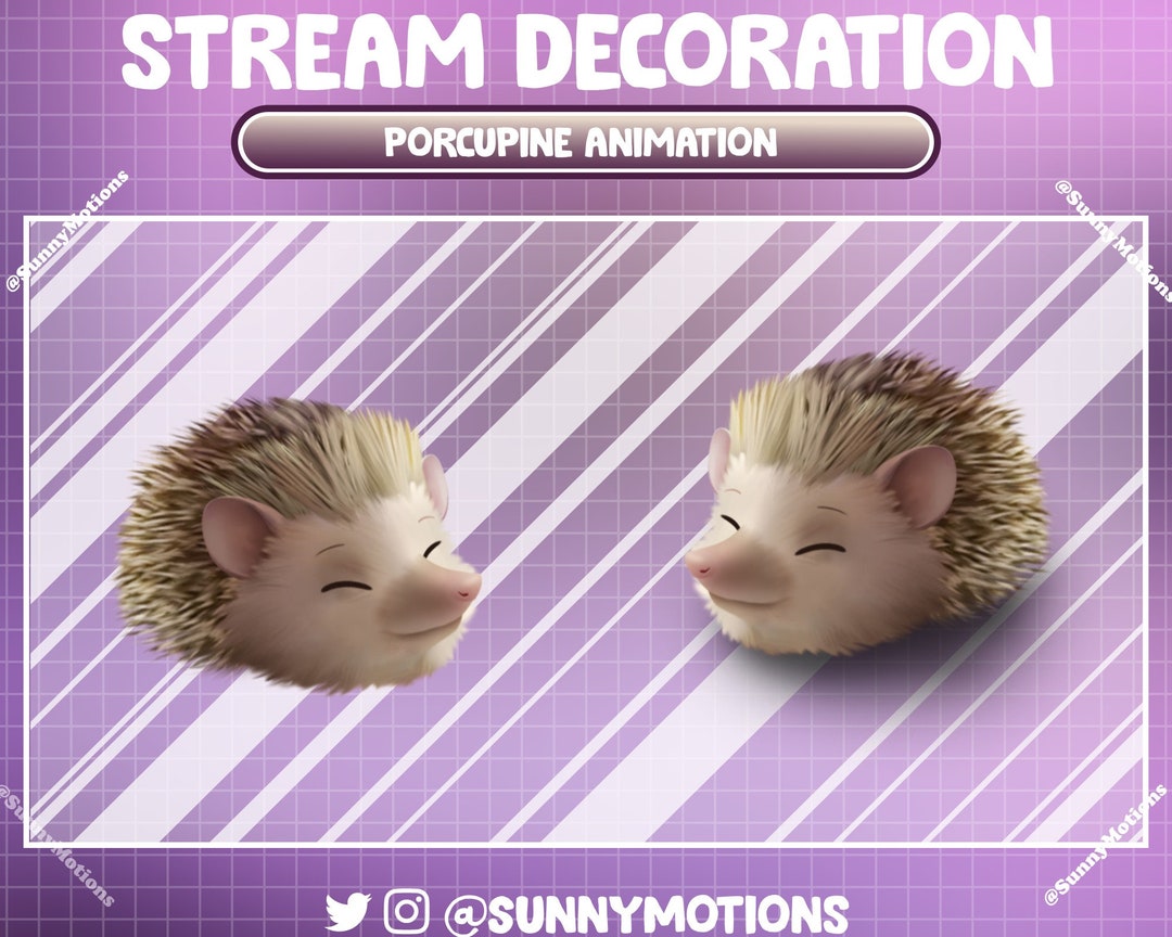2x Animated Stream Decoration: Urchine Pet Twitch Overlay Add-on, Lo-fi ...