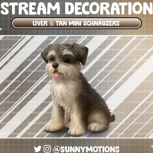 2 Animated Stream Decoration: Cute Liver Tan Miniature Schnauzers Dog ...