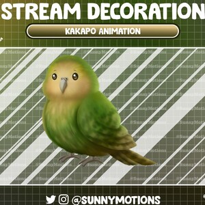 2x Animated Stream Decoration: Kakapo, Flightless Green Parrot, Kākāpō ...