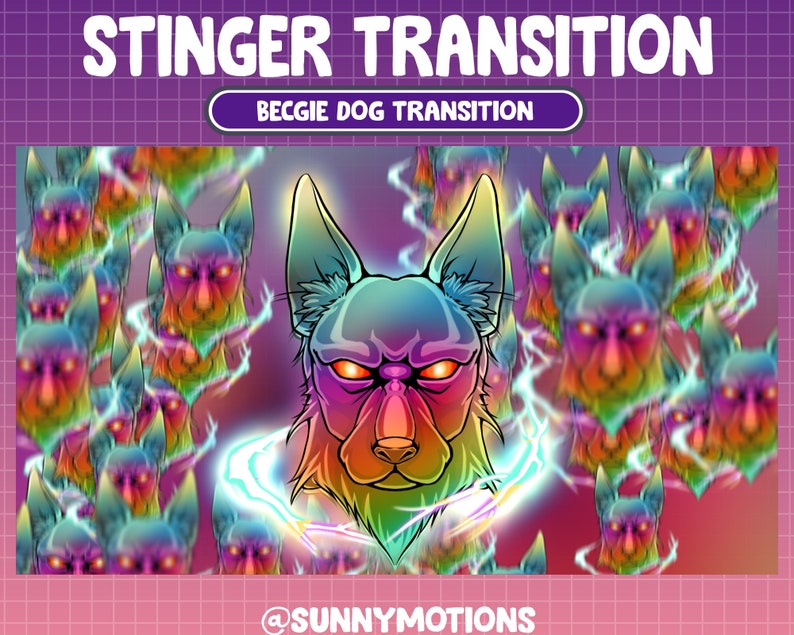Magical Becgie Dog in Night Sky Animated Twitch Stinger Transition ...