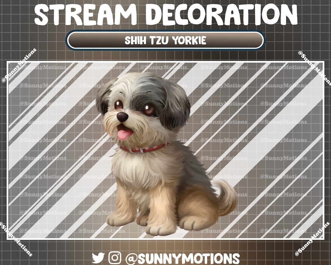 Animated Stream Decoration: Cute Shih Tzu Yorkie Mix Dog Animation ...