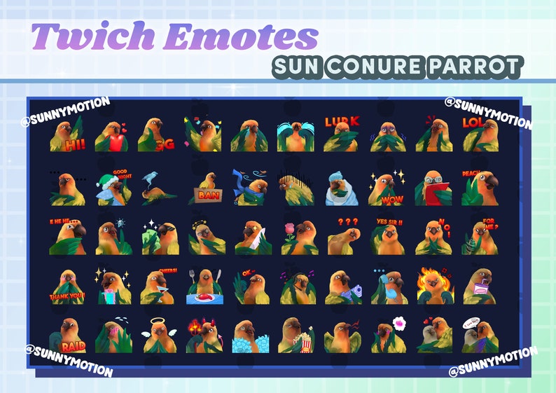 50 Kawaii the Sun Parakeet Twitch Emotes, the Sun Conure Parrot ...