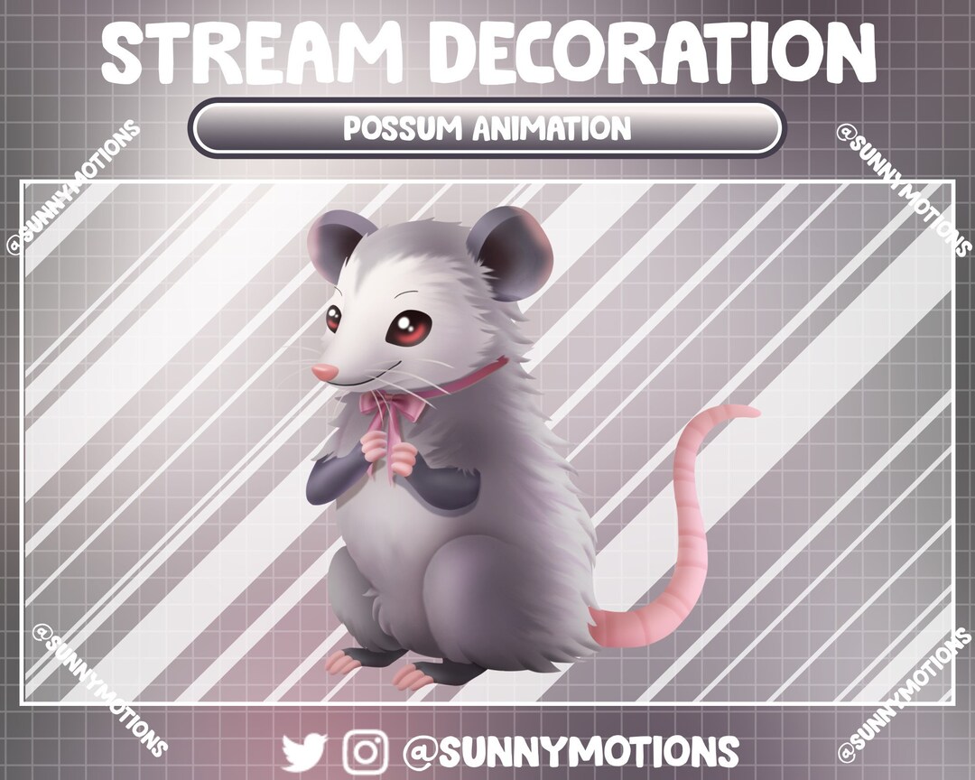 4x Animated Stream Decoration Animal: Lo-fi Aesthetic Grey Possum, Opossum Animation, Large Rats ...