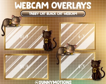 Cat Webcam Frame - Etsy