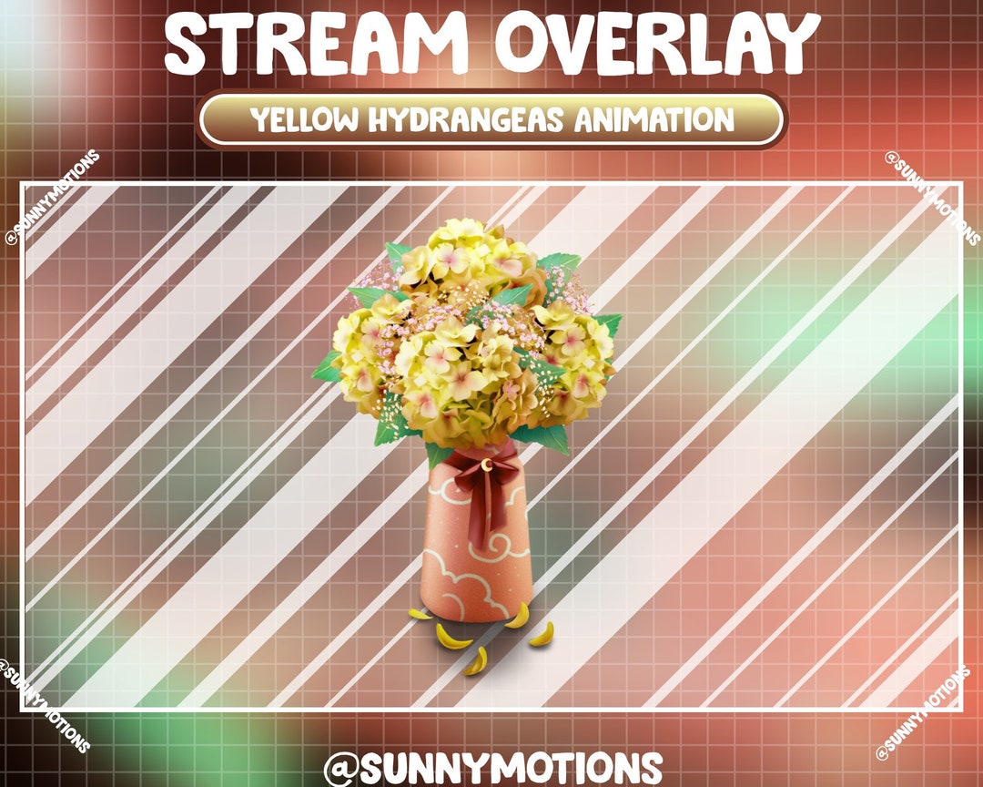 Animated Twitch Stream Decoration: Yellow Hydrangeas Flowers Blooming ...
