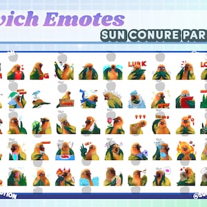 50 Kawaii the Sun Parakeet Twitch Emotes, the Sun Conure Parrot ...