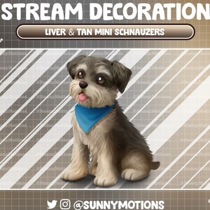 2 Animated Stream Decoration: Cute Liver Tan Miniature Schnauzers Dog ...