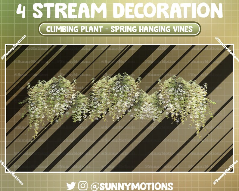 4 Animated Stream Decoration: Aesthetic Charming Climbing Plants ...