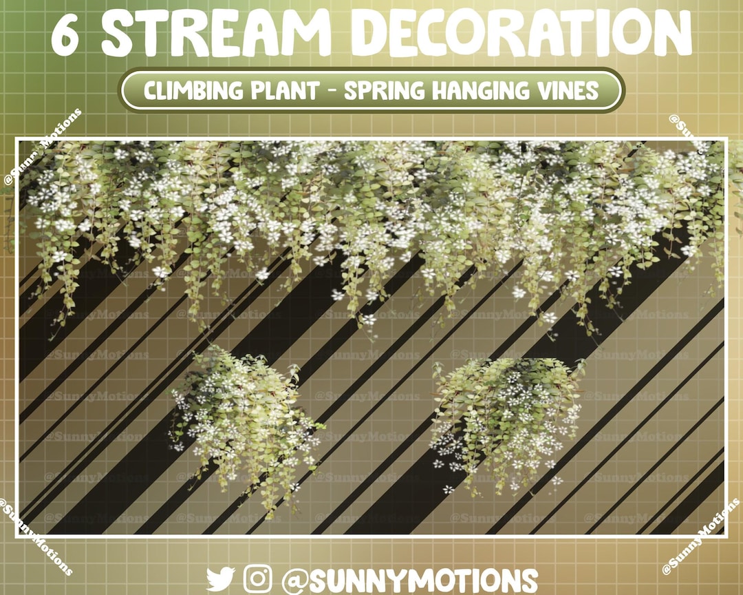 4 Animated Stream Decoration: Aesthetic Charming Climbing Plants ...