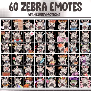 Cute Grévy's Zebra Twitch Emotes Discord, Streamer, Kawai African ...