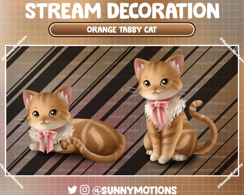 Animated Stream Decoration Cute Pet: Lo-fi Aesthetic Orange-blotched ...