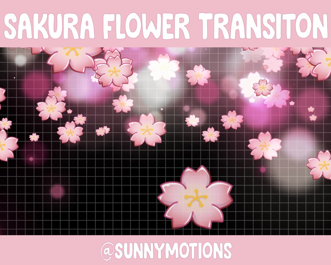 Sakura Flower Animated Twitch Scene Stinger Transition | Etsy