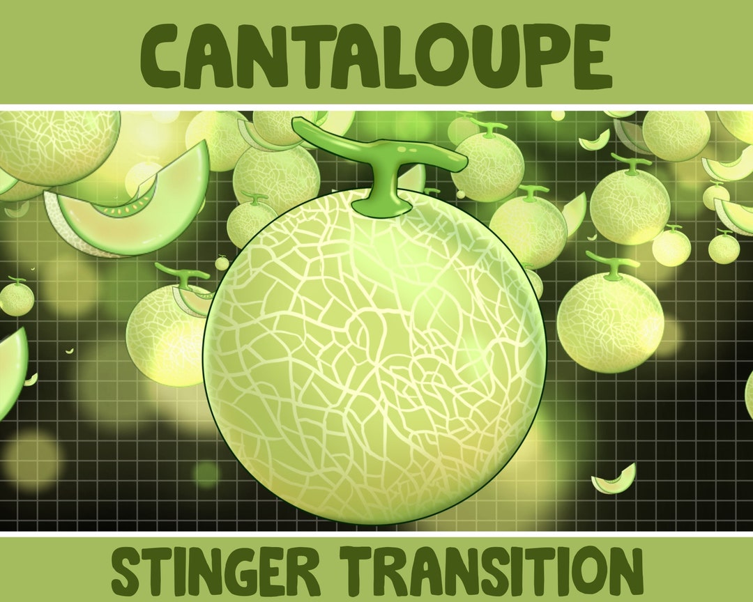 5 Animated Stream Stinger Transition: Green Cantaloupe Fruit Scene ...