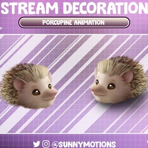 2x Animated Stream Decoration: Urchine Pet Twitch Overlay Add-on, Lo-fi ...