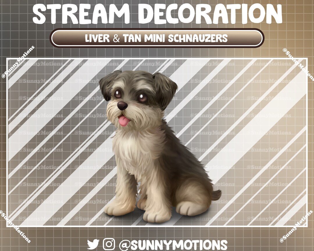 2 Animated Stream Decoration: Cute Liver Tan Miniature Schnauzers Dog ...