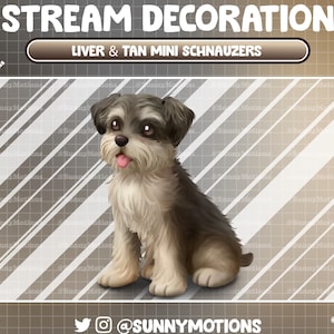 2 Animated Stream Decoration: Cute Liver Tan Miniature Schnauzers Dog ...
