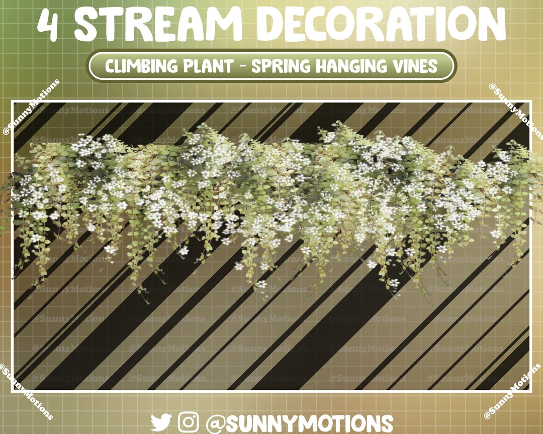 4 Animated Stream Decoration: Aesthetic Charming Climbing Plants ...