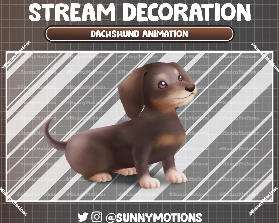 Animated Stream Decoration: Aesthetic Dachshund Sitting, Kawaii Sausage ...
