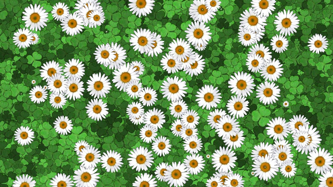 Daisy Flower Animated Twitch Stream Transition, Animated Twitch Scene ...