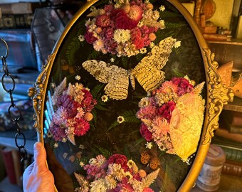 Antique Bubble Glass Insect Frame humepenthe - Etsy