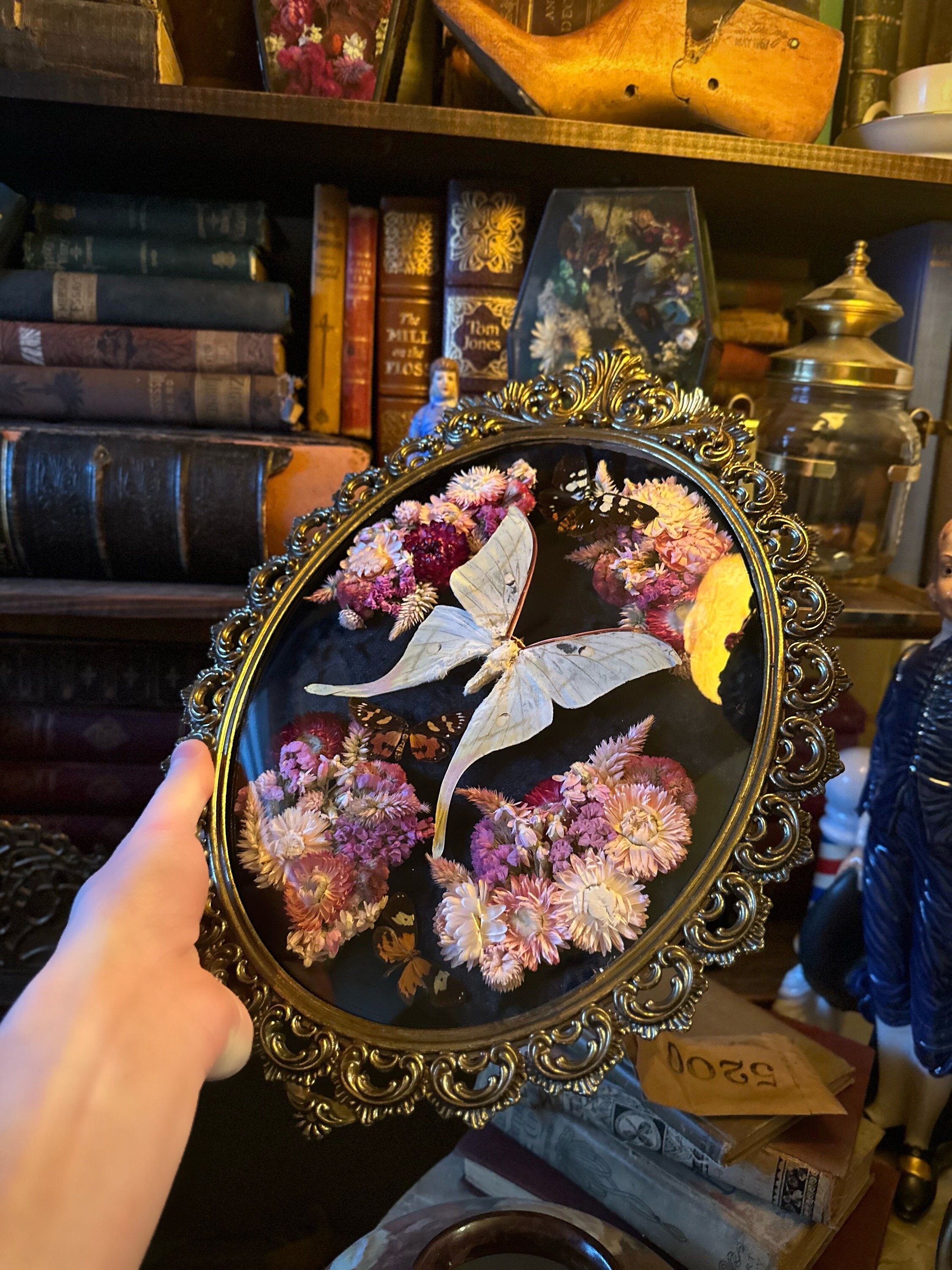 Vintage Bubble Glass Insect Frame la Réponse, C'est L'amour - Etsy