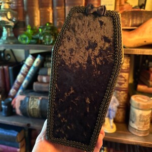 Glass Casket Insect Box “couleurs Du Vent” - Etsy