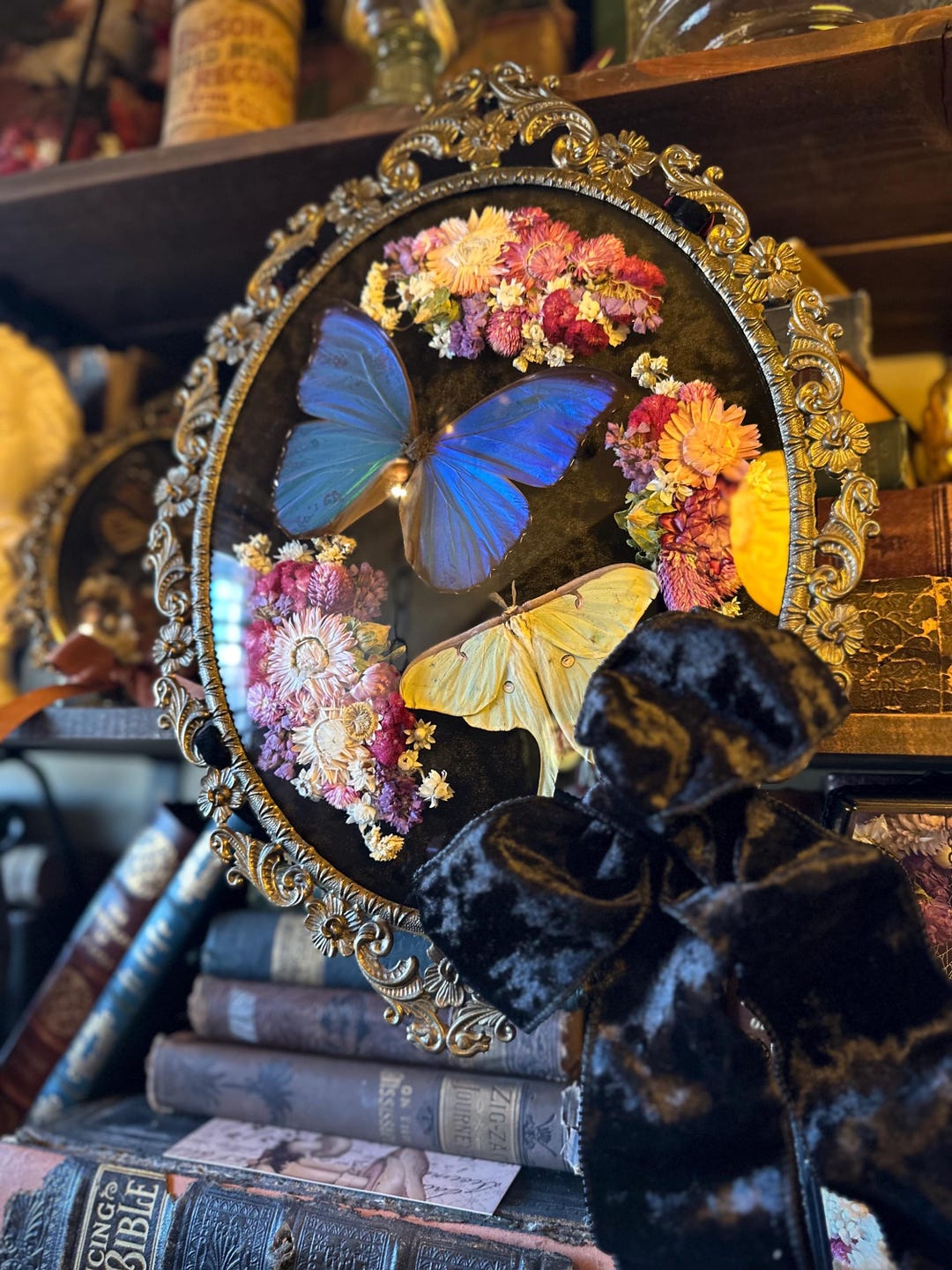 Antique Bubble Glass Insect Frame “serendipity” - Etsy