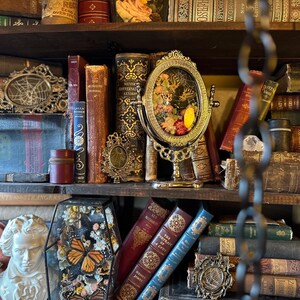 Bubble Glass Insect Stand Frame “surreptitious” - Etsy