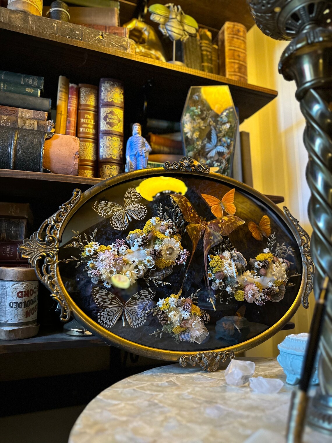 Antique Bubble Glass Insect Frame selenophile - Etsy