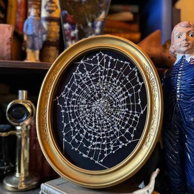 Framed Spider Web - Etsy