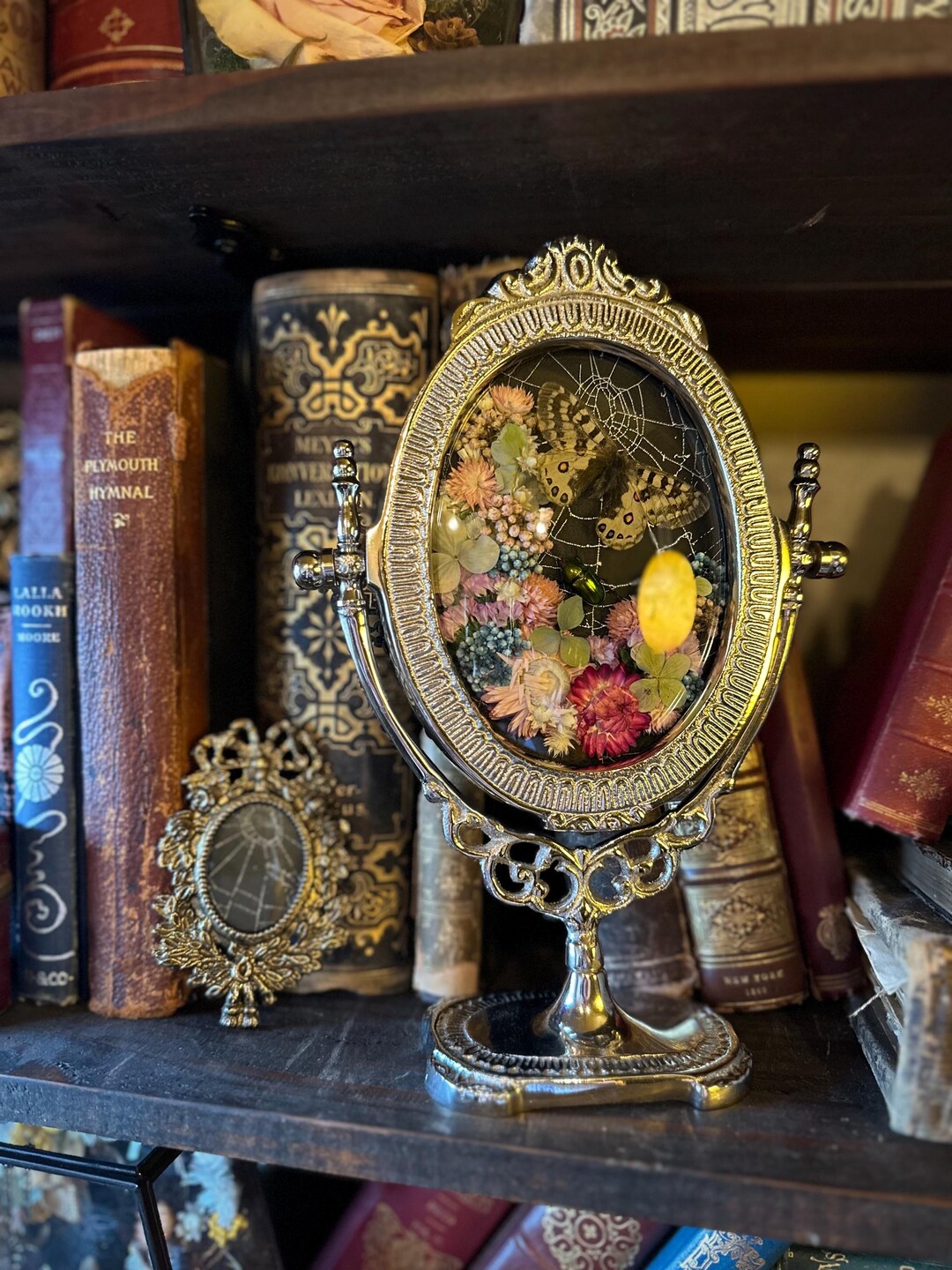 Bubble Glass Insect Stand Frame “surreptitious” - Etsy