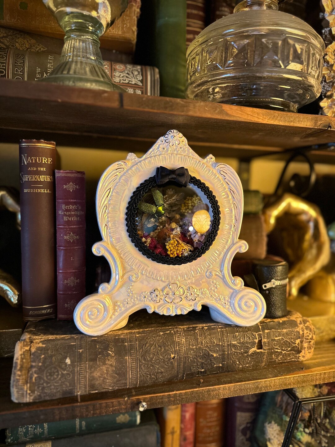 Vintage Clock Insect Terrarium “opalescence” - Etsy