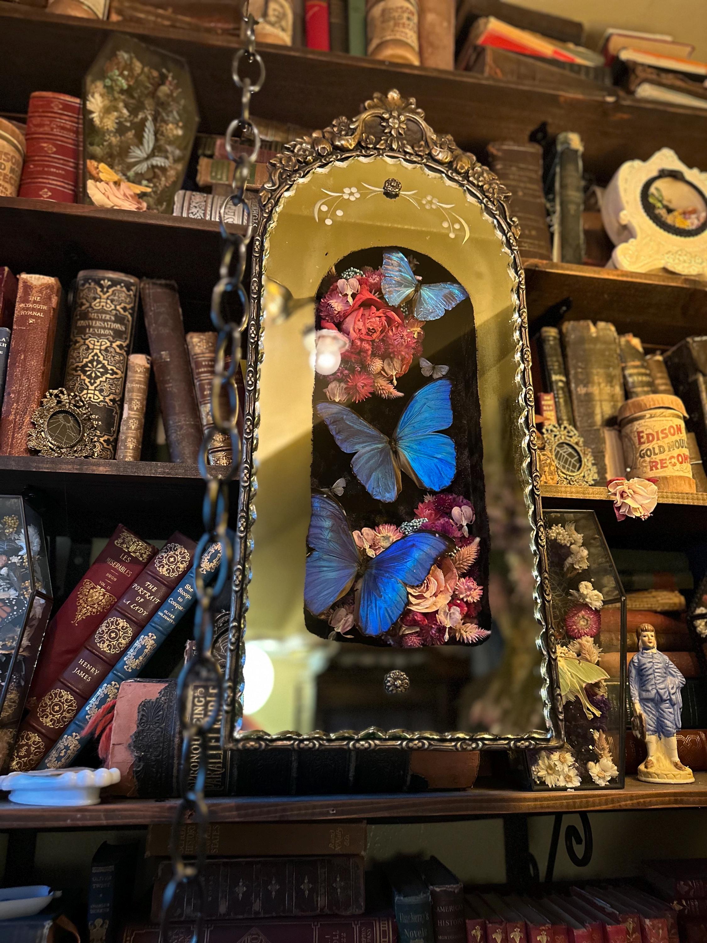 Antique Mirror Shadow Box Insect Art “sonder” - Etsy