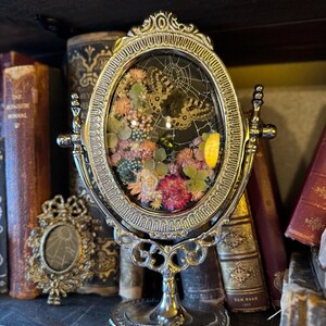 Bubble Glass Insect Stand Frame “surreptitious” - Etsy