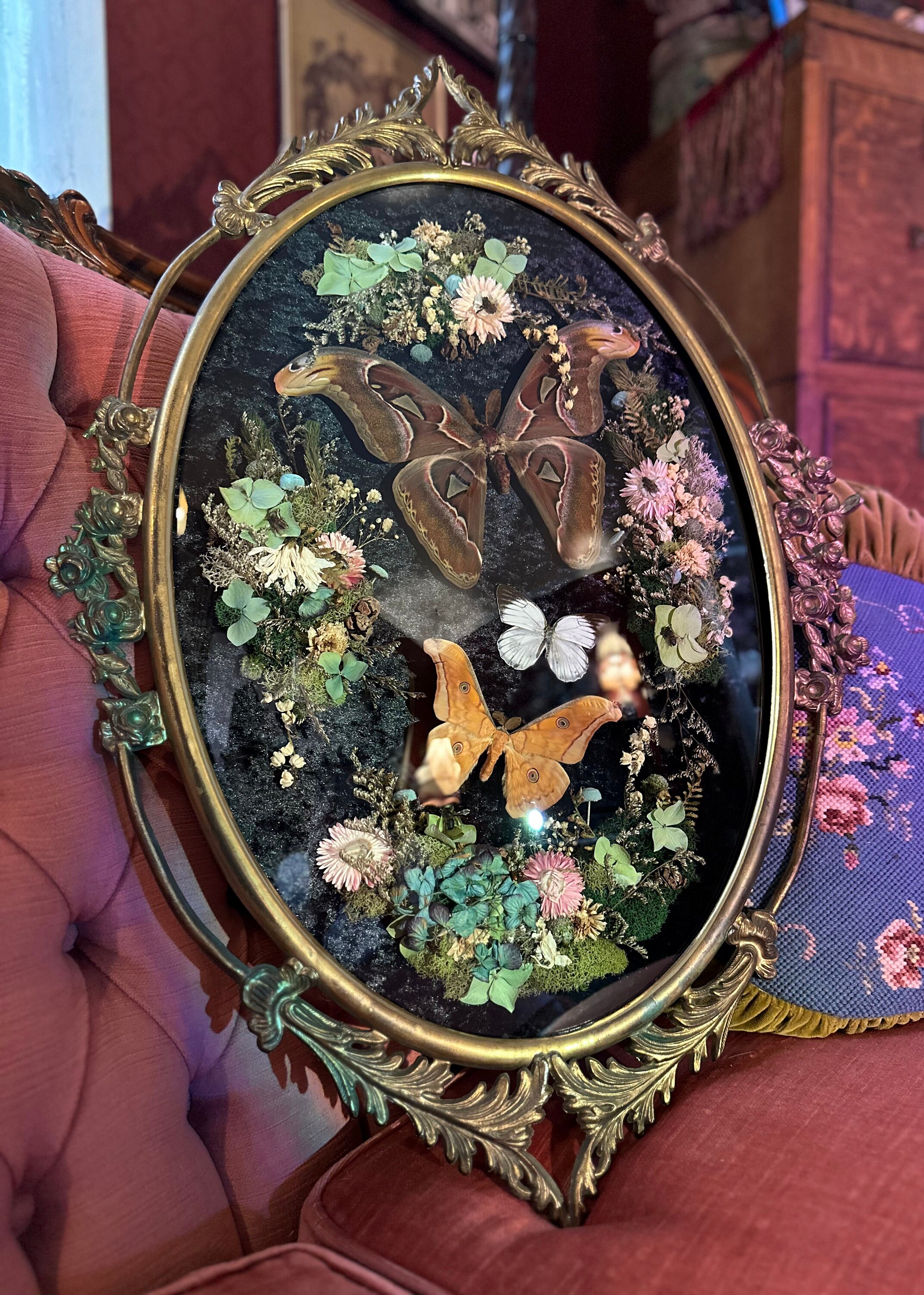 Antique Bubble Glass Insect Frame humepenthe - Etsy