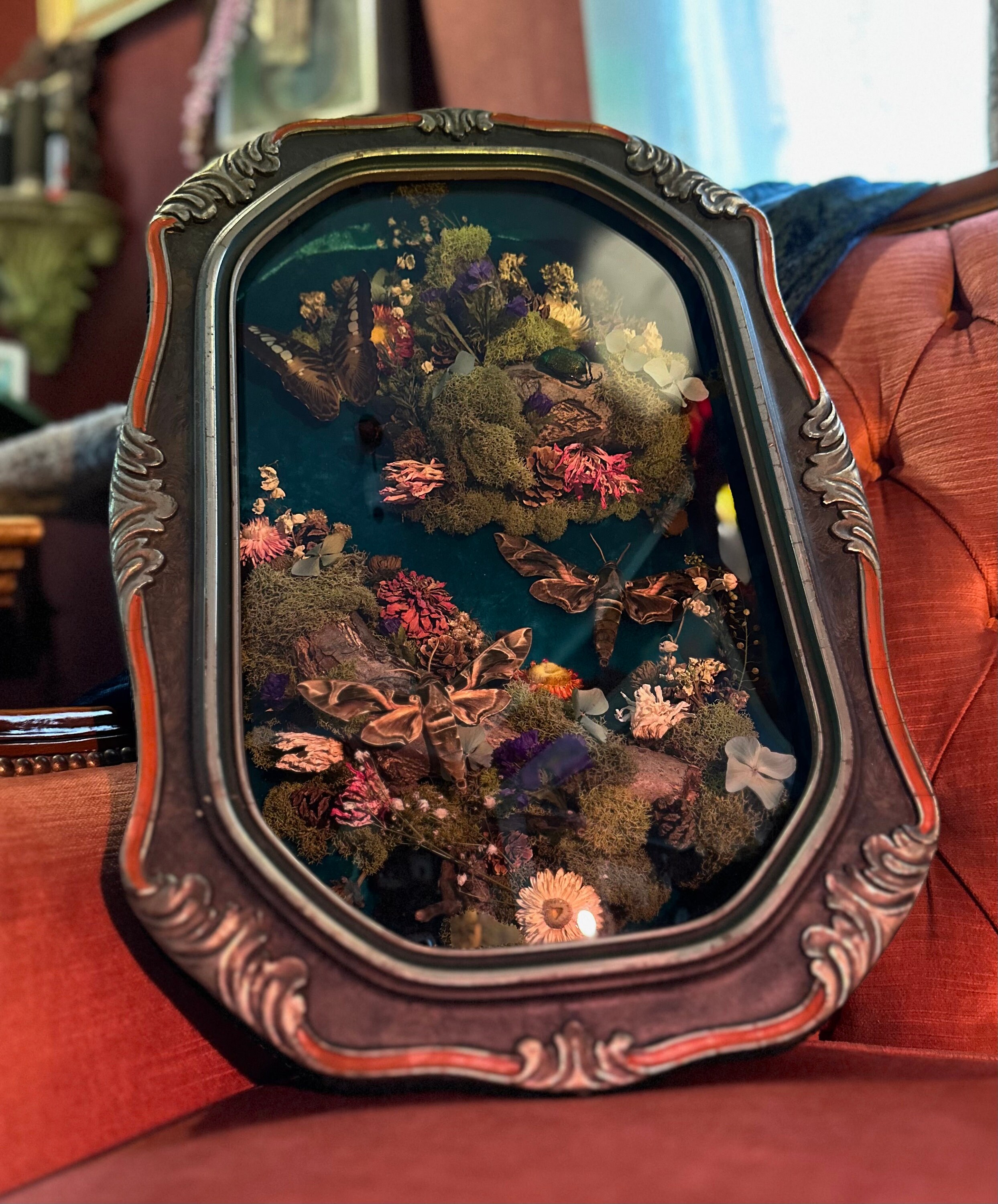 Antique Bubble Glass Insect Frame chromatophile - Etsy