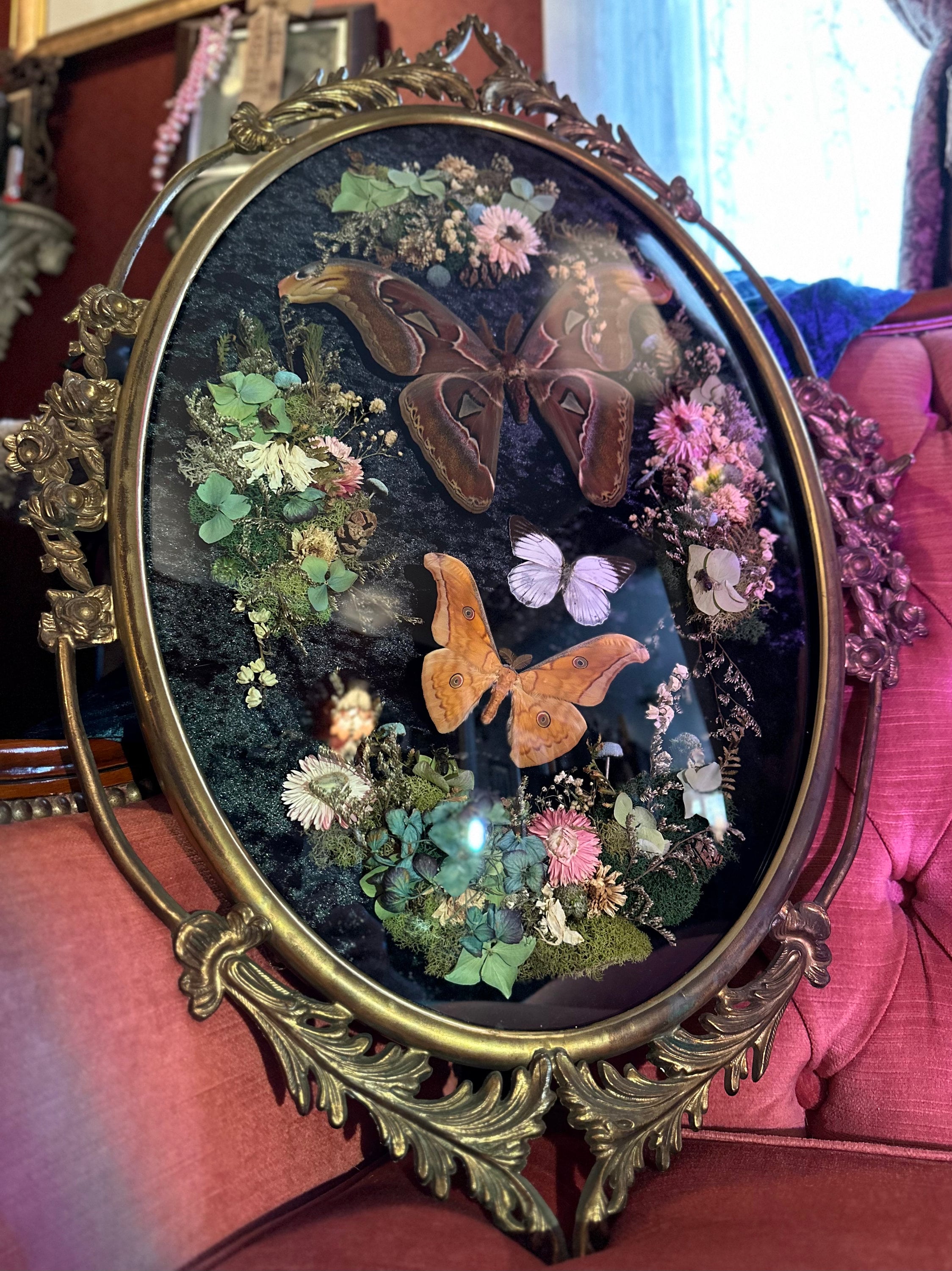 Antique Bubble Glass Insect Frame humepenthe - Etsy