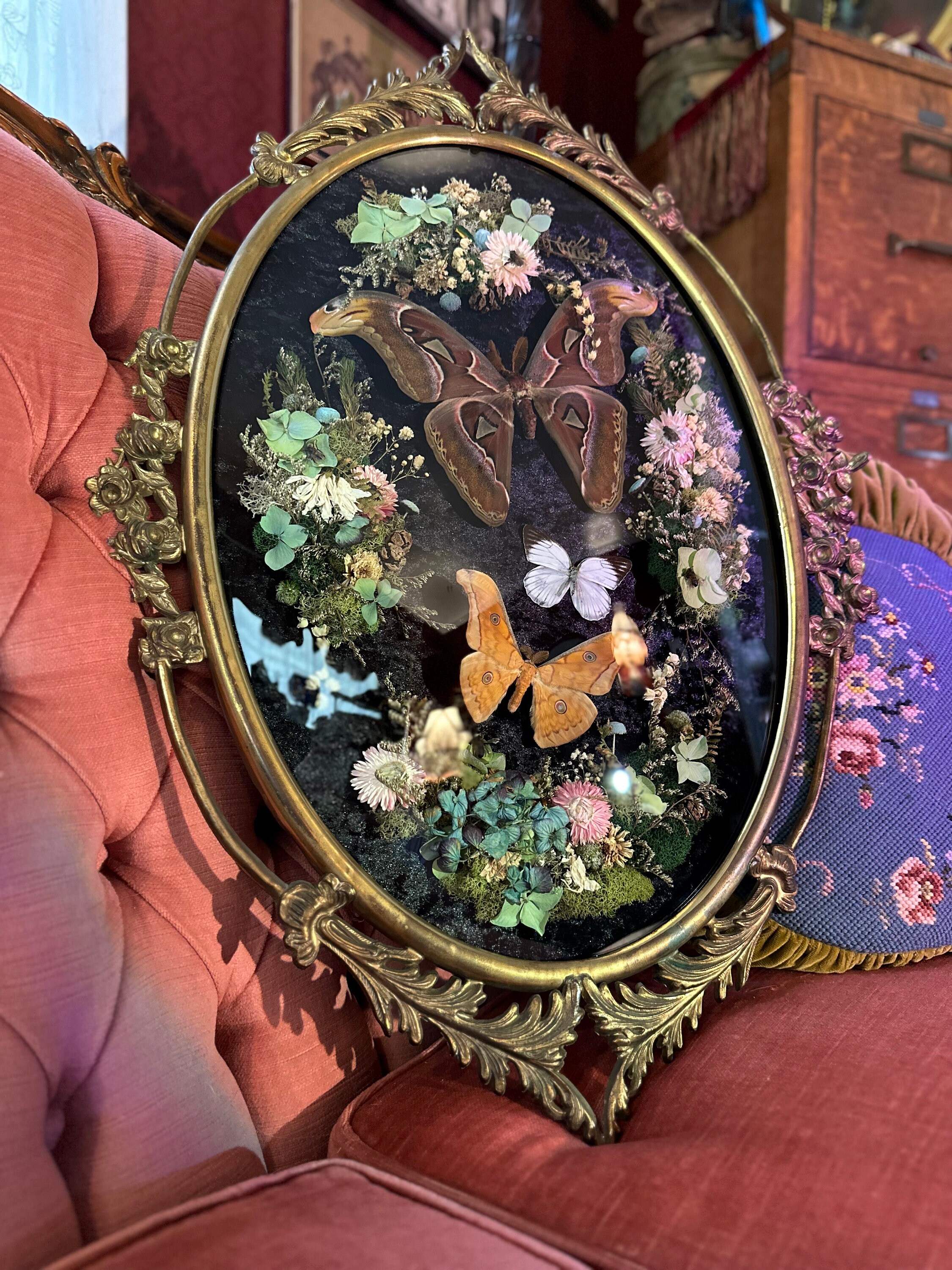 Antique Bubble Glass Insect Frame humepenthe - Etsy