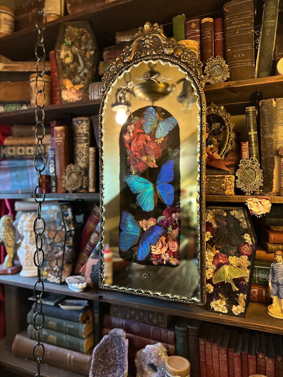 Antique Mirror Shadow Box Insect Art “sonder” - Etsy