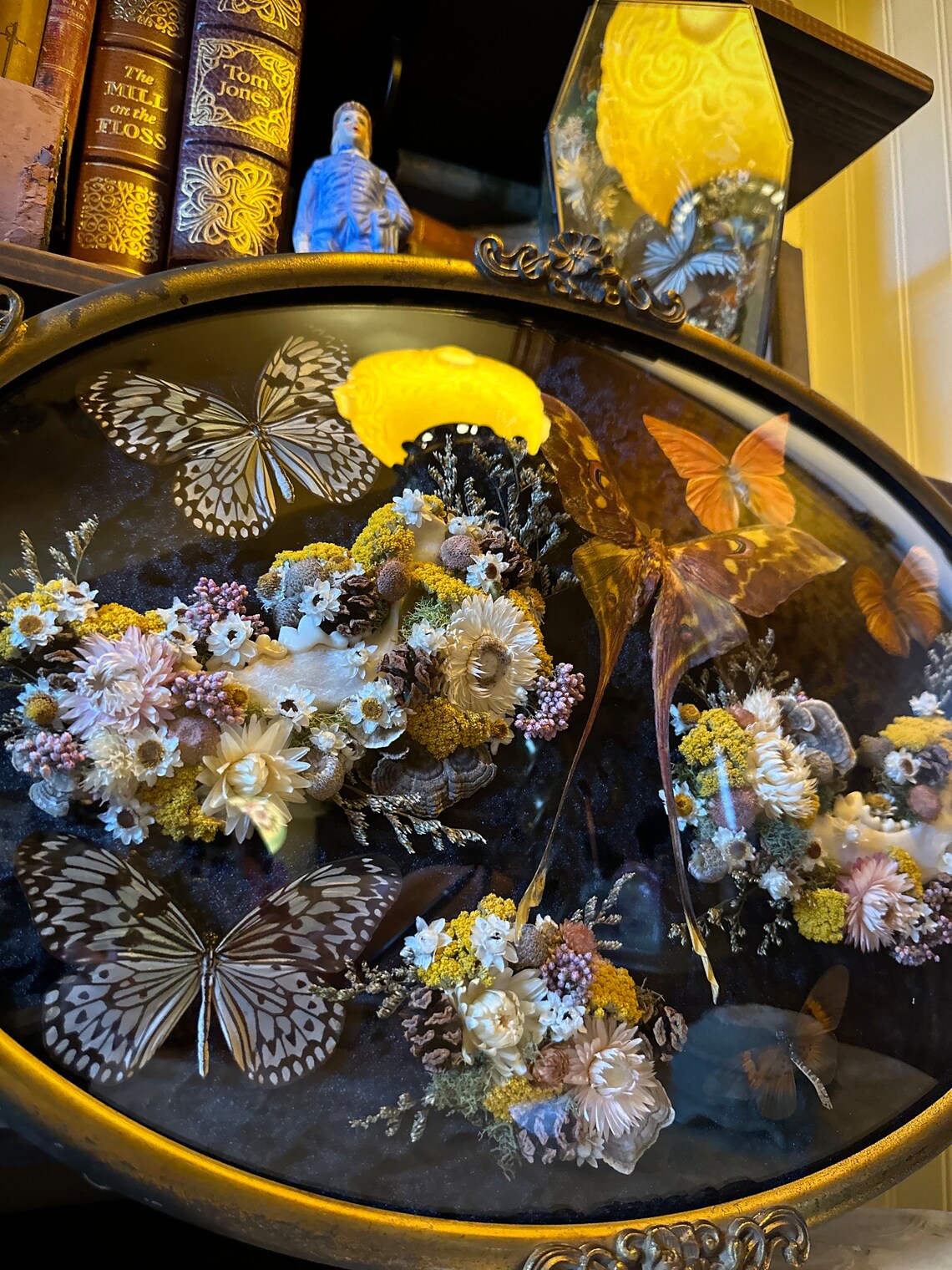 Antique Bubble Glass Insect Frame selenophile - Etsy