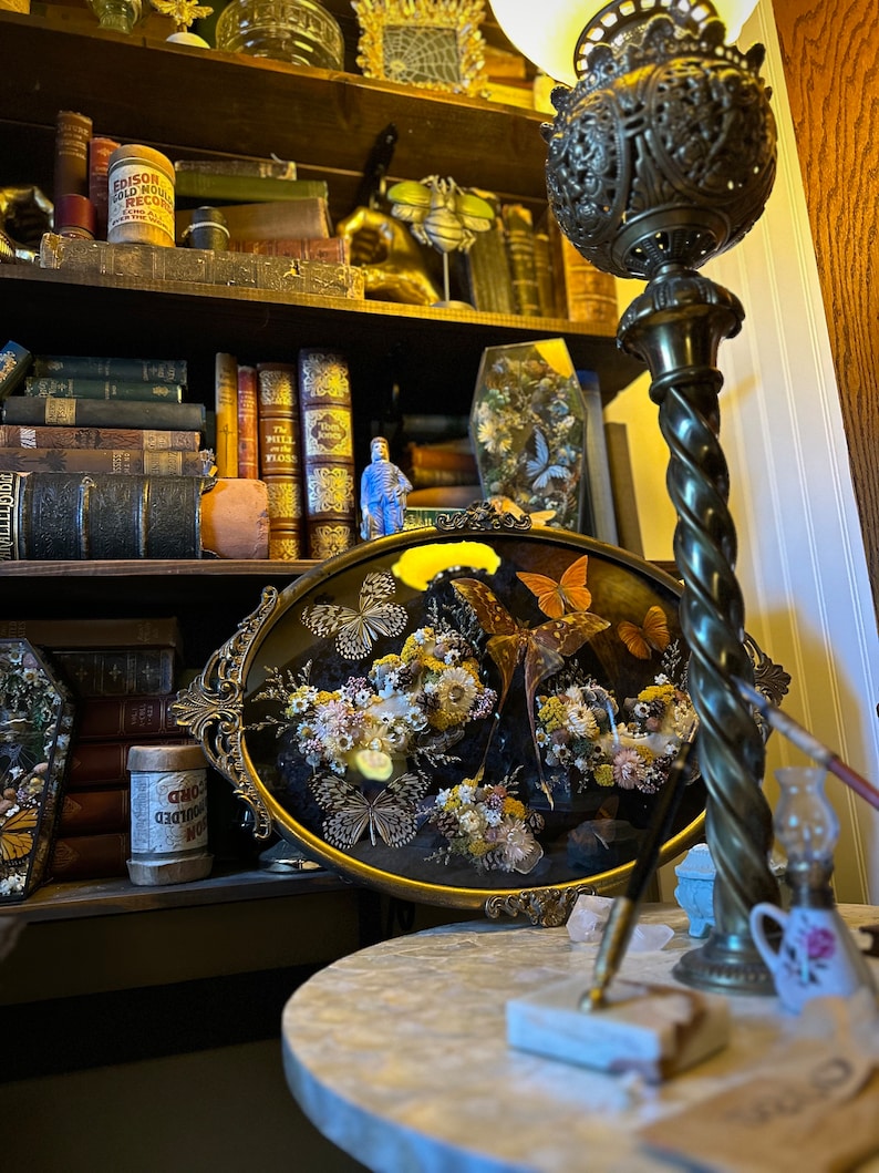 Antique Bubble Glass Insect Frame selenophile - Etsy