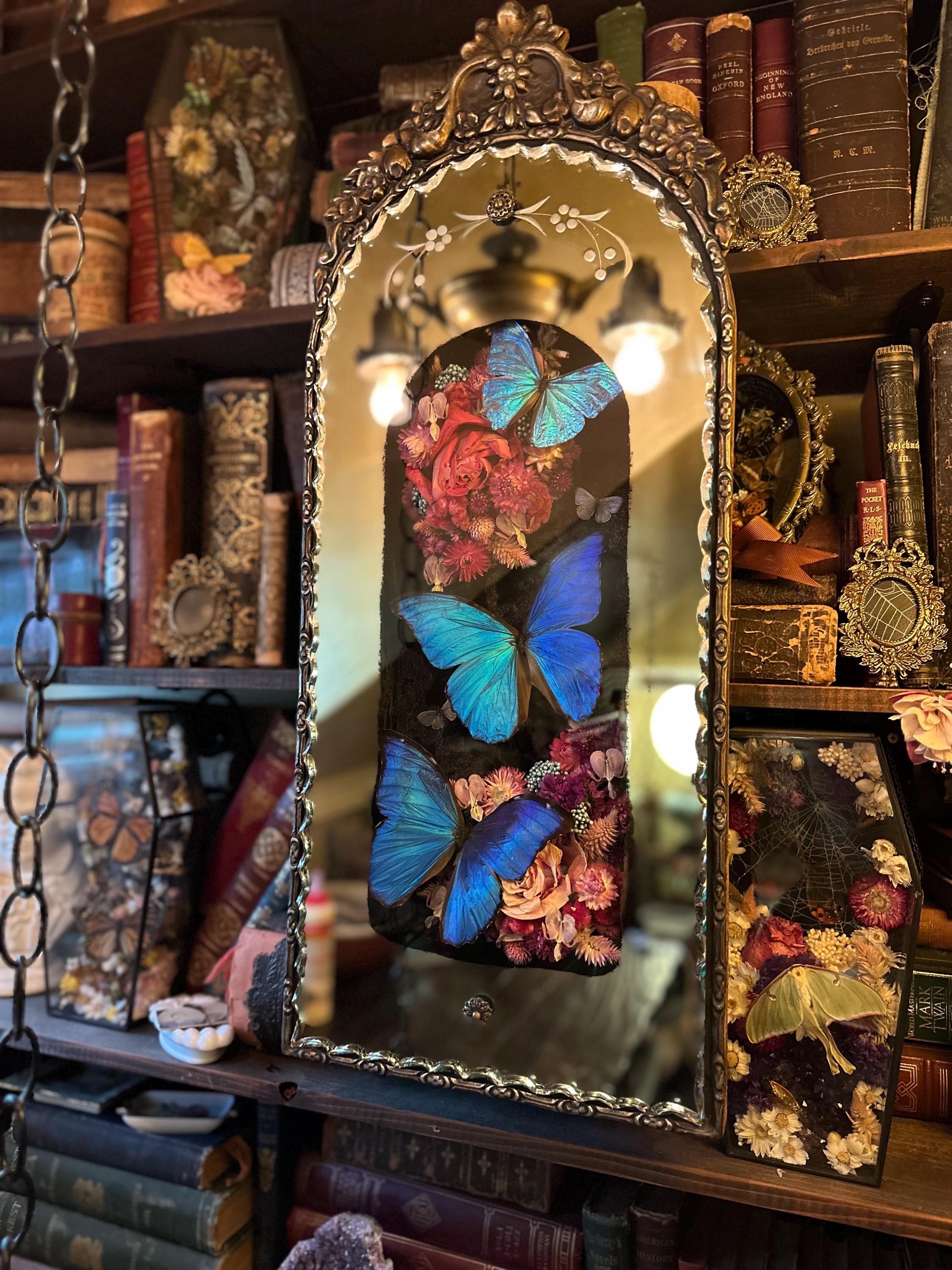 Antique Mirror Shadow Box Insect Art “sonder” - Etsy